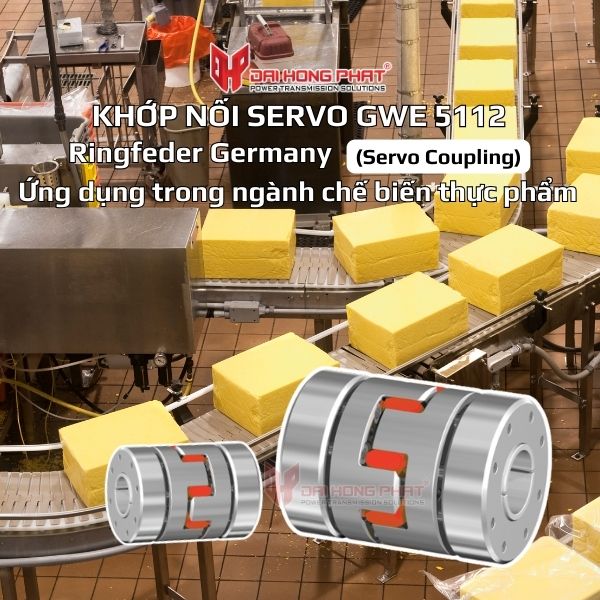 KHỚP NỐI SERVO GWE 5112 RINGFEDER GERMANY ỨNG DỤNG TRONG NGÀNH CHẾ BIẾN THỰC PHẨM - Đại Hồng Phát